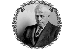 Dust Of Snow Explanation And Analysis And Extra Questions