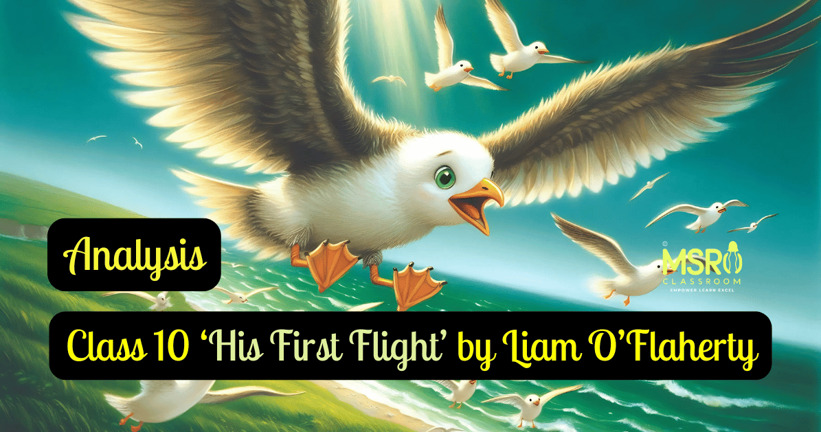 Class 10- "His First Flight" Complete Explanation - MSRO CLASSROOM